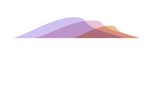 Várri Consultancy | A New Standard in Management Consulting
